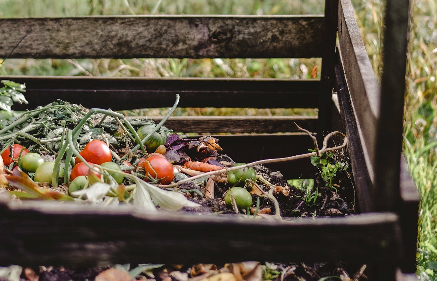 Composting At Home: Tips, Tricks and Benefits! – Biodynamic Coffee